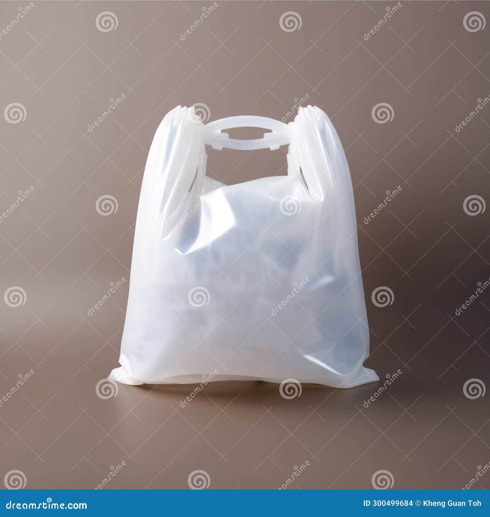 Plastic Bag Pouch, Generic Blank Product Packaging Mockup Stock ...