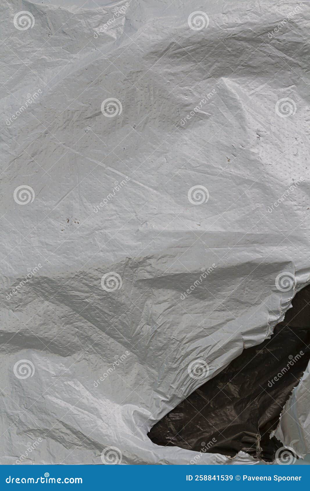 Plastic Bag, Product Package Was Torn Stock Image - Image of torn ...