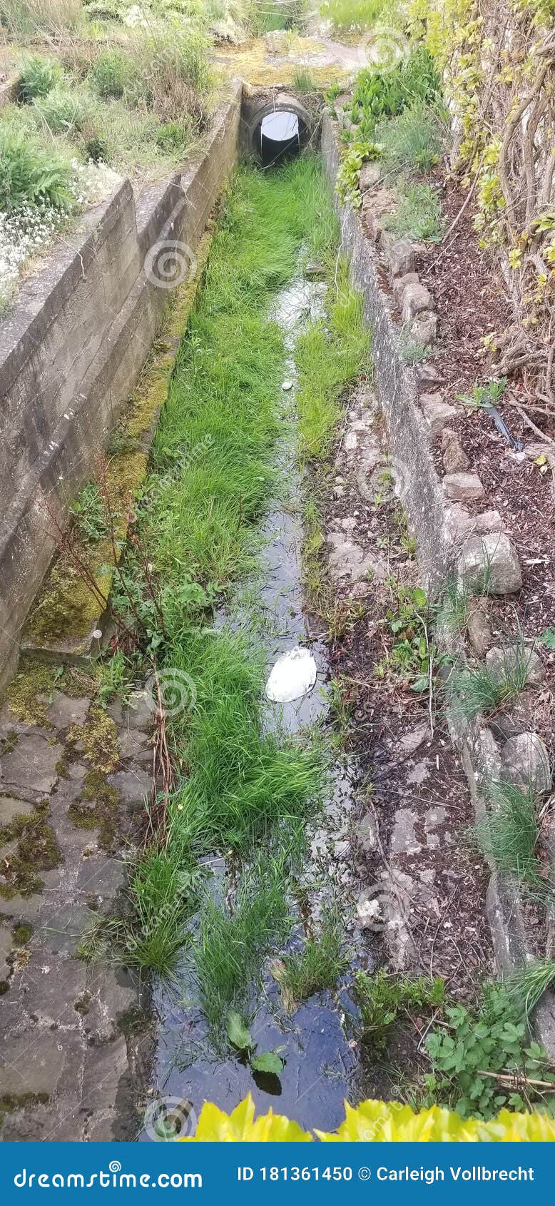 Plastic bag in a stream stock photo. Image of stream - 181361450