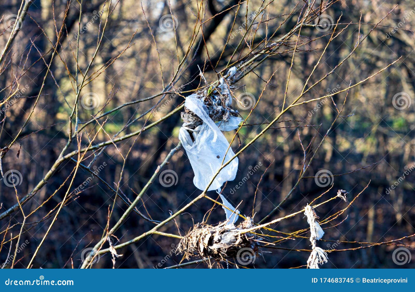 Plastic Bag on Tree in Nature Stock Image - Image of garbage, isolated ...