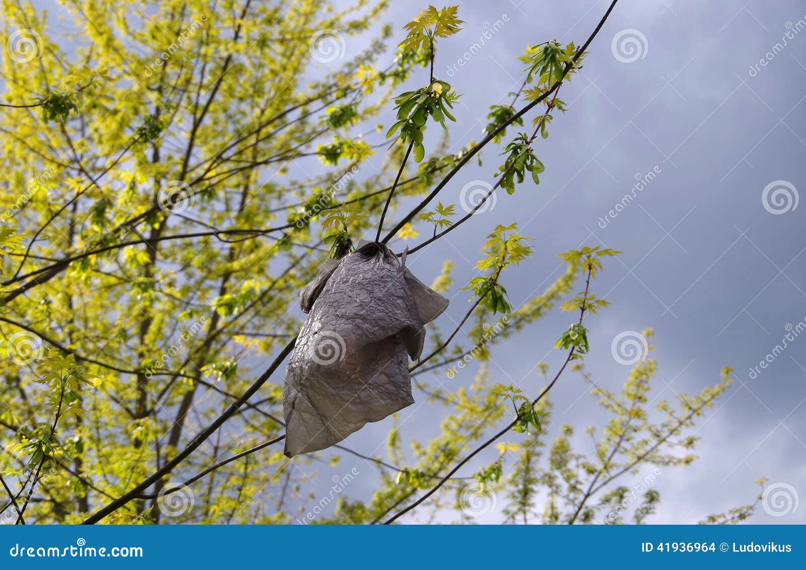 Plastic bag in a tree stock photo. Image of ecology, plastics - 41936964