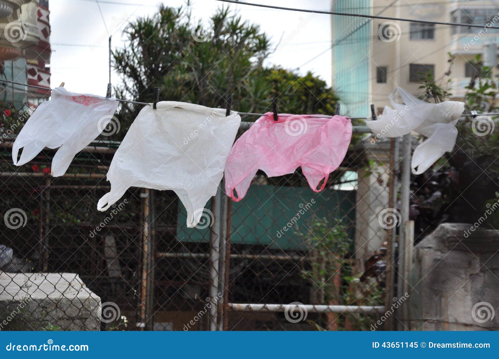 Plastic Bags Drying in the Wind, Havana, Cuba Stock Image - Image of ...