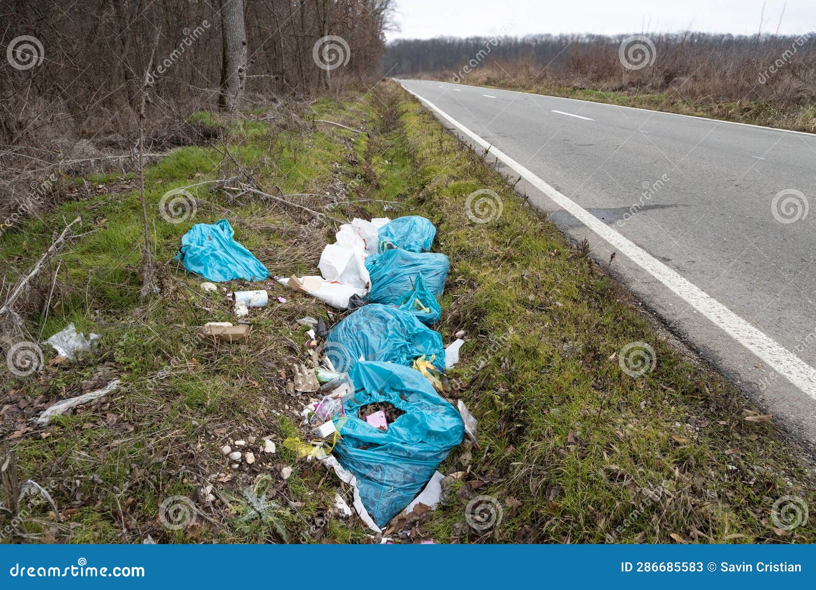 Plastic Bags and Garbage on the Side of a Road Next To a Forest Stock ...