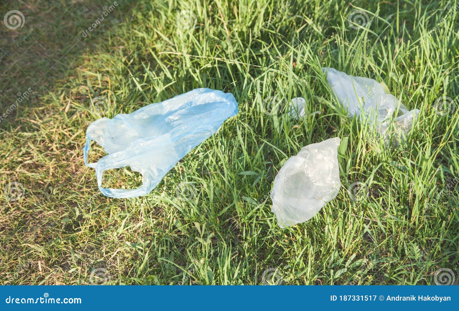 Plastic Bags on Grass in the Park Stock Image - Image of plastic ...
