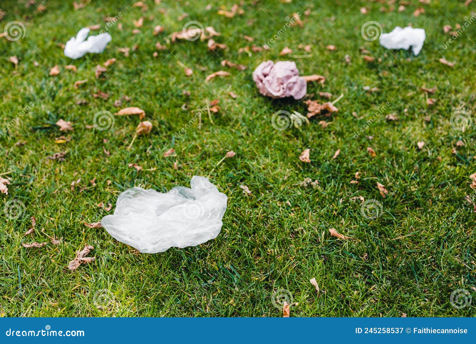 Plastic Bags and Litter Abandoned on Green Lawn, Respecting the ...