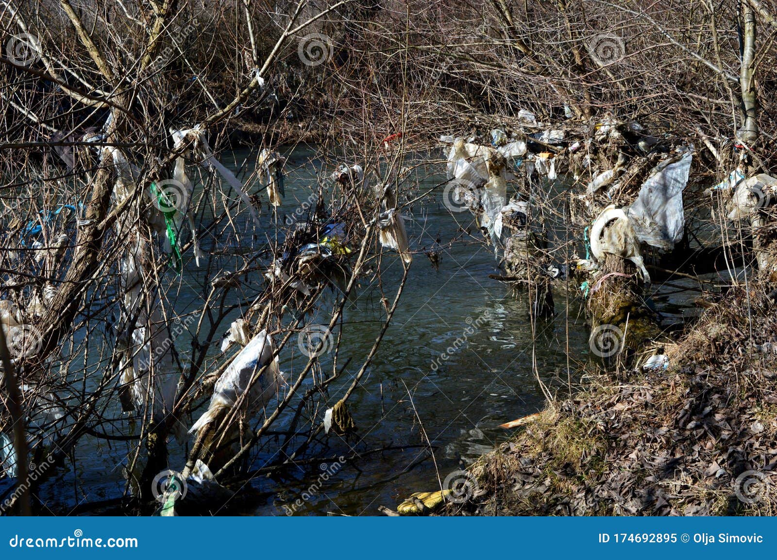 Plastic Bags and Waste on Tree Branches Stock Image - Image of branches ...