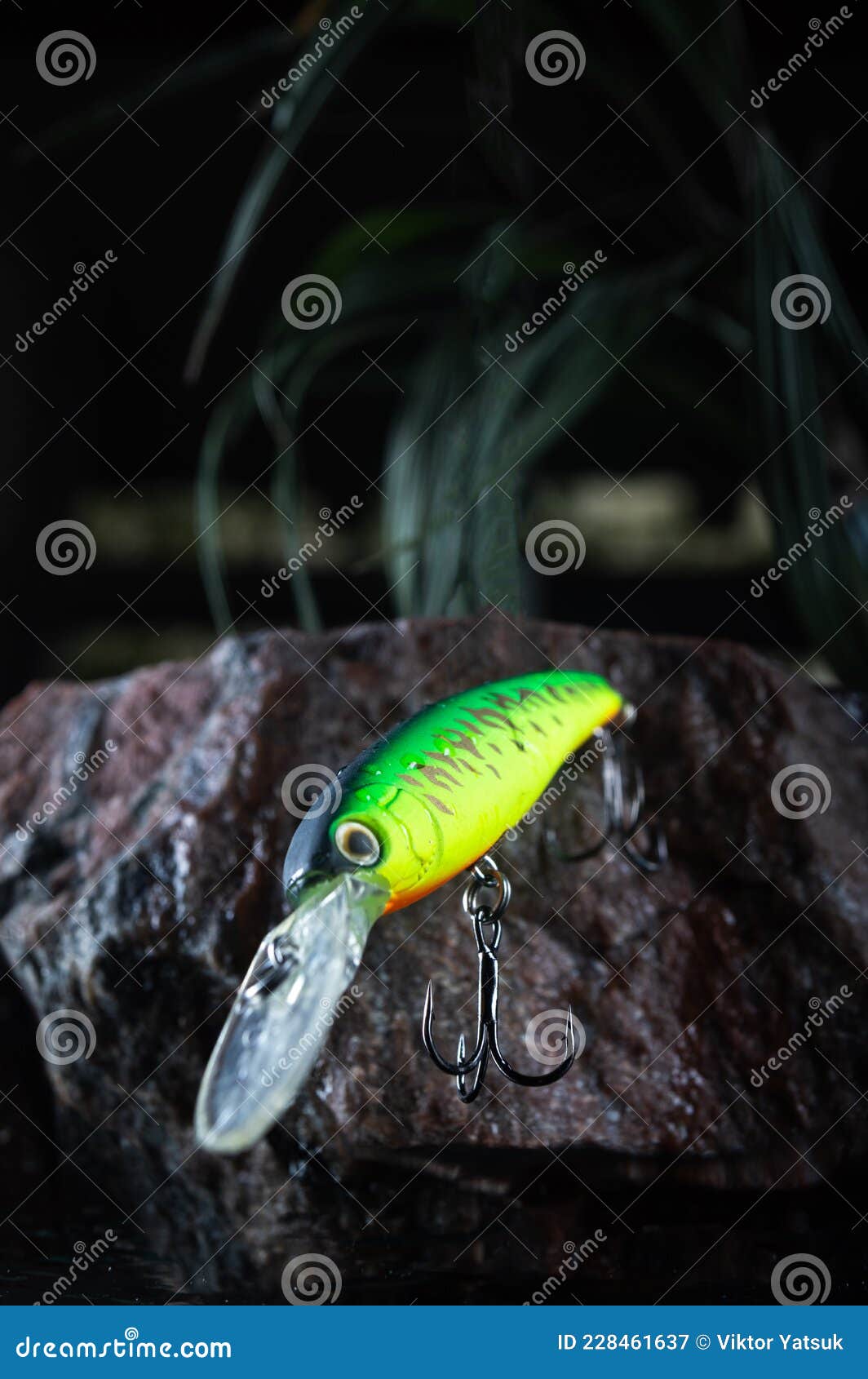 Plastic Bait for Catching Predatory Fish. Solid Fish Bait. Green Hard ...