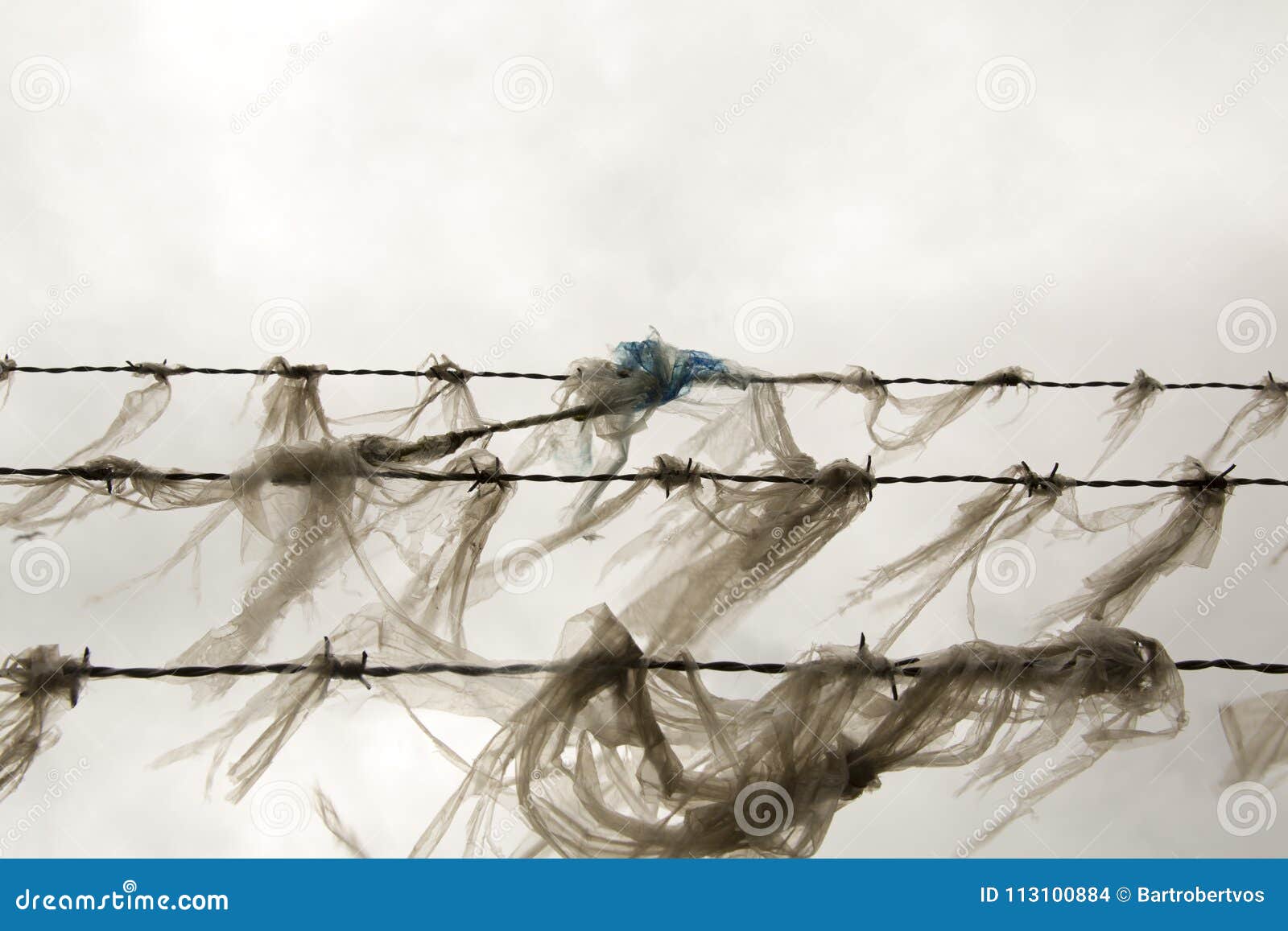 Plastic on barb wire stock photo. Image of construction - 113100884
