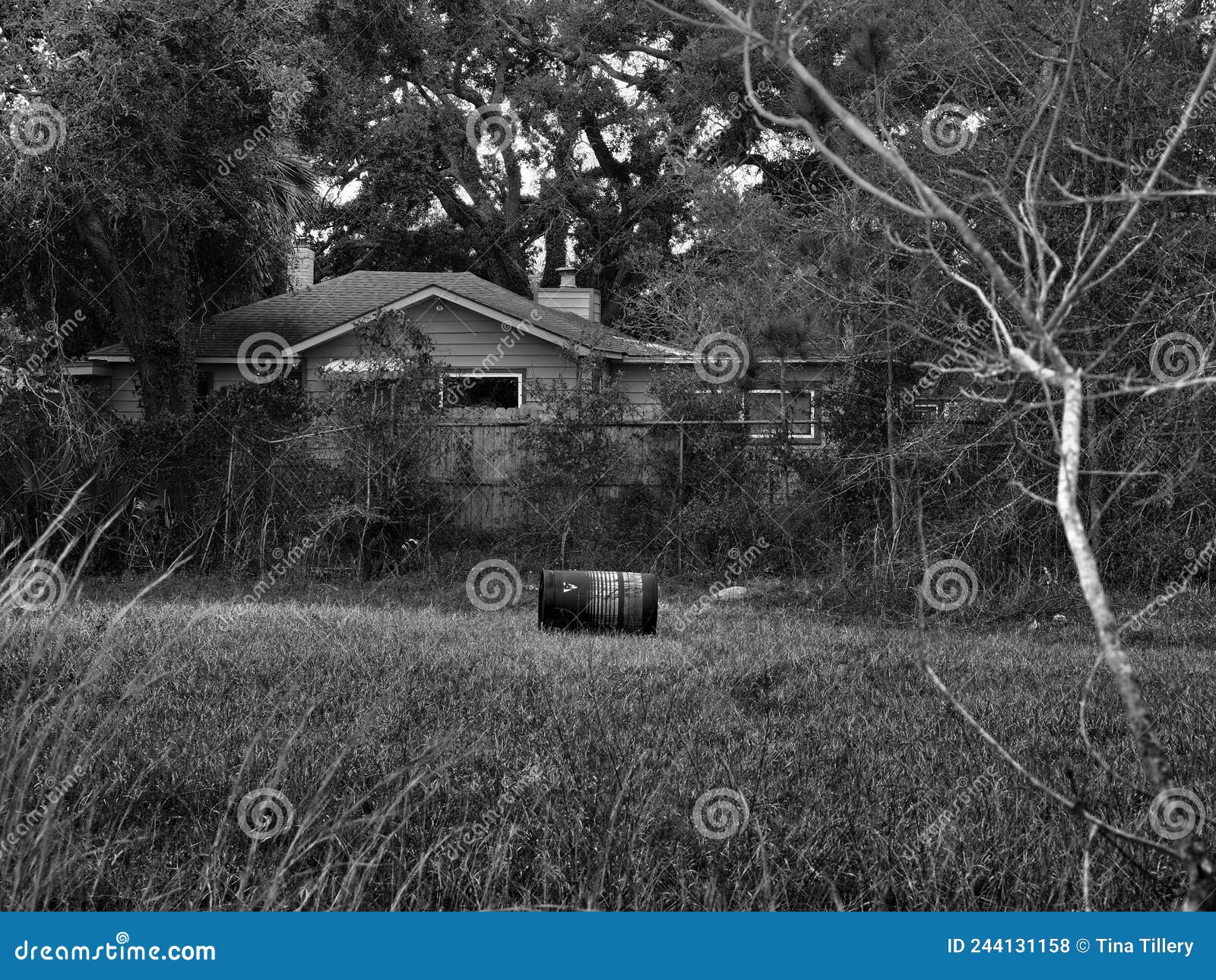 Plastic Barrel Laying in Field Stock Photo - Image of laying, tree ...