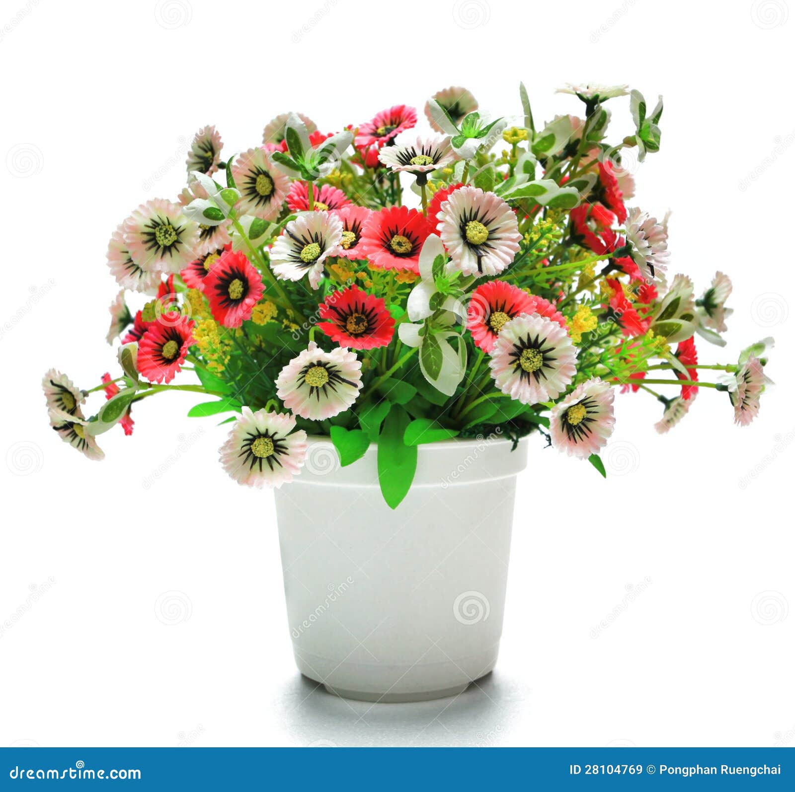 Plastic bloempot stock afbeelding. Image of houder, bloemen - 28104769