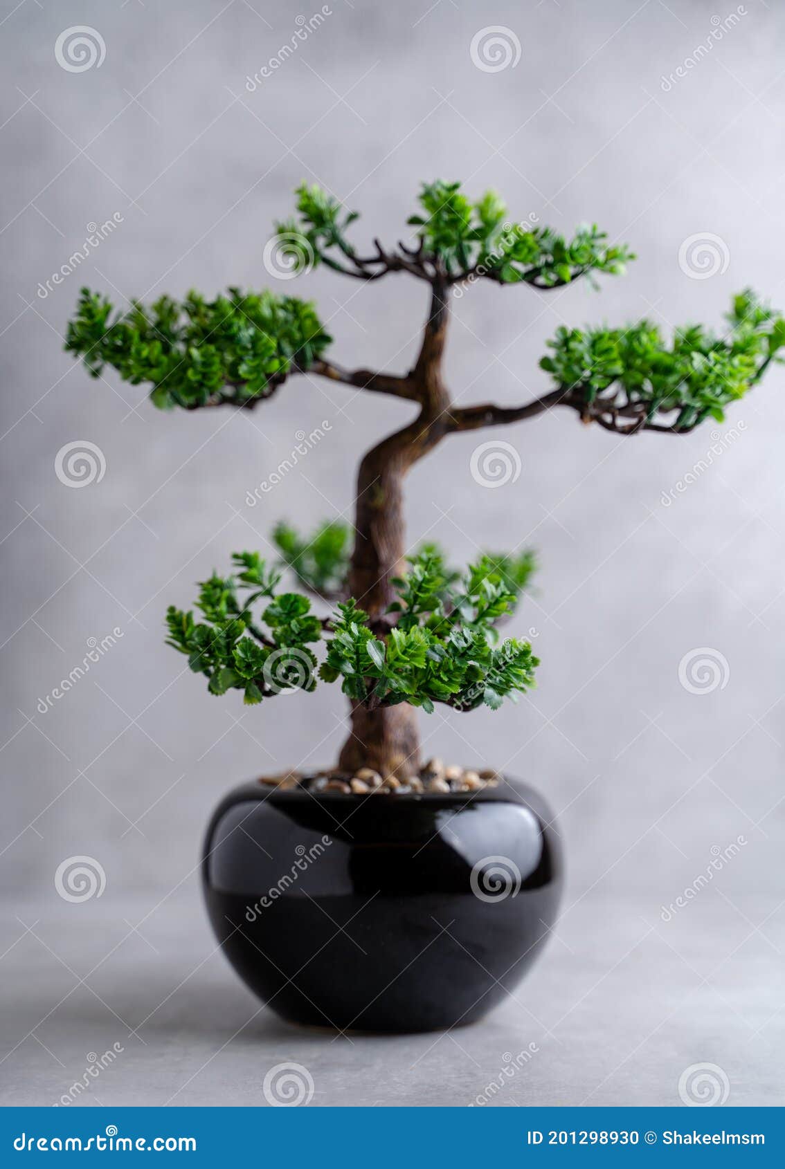 Plastic Bonsai Tree Artificial with a Small Pot on a Gray Background ...