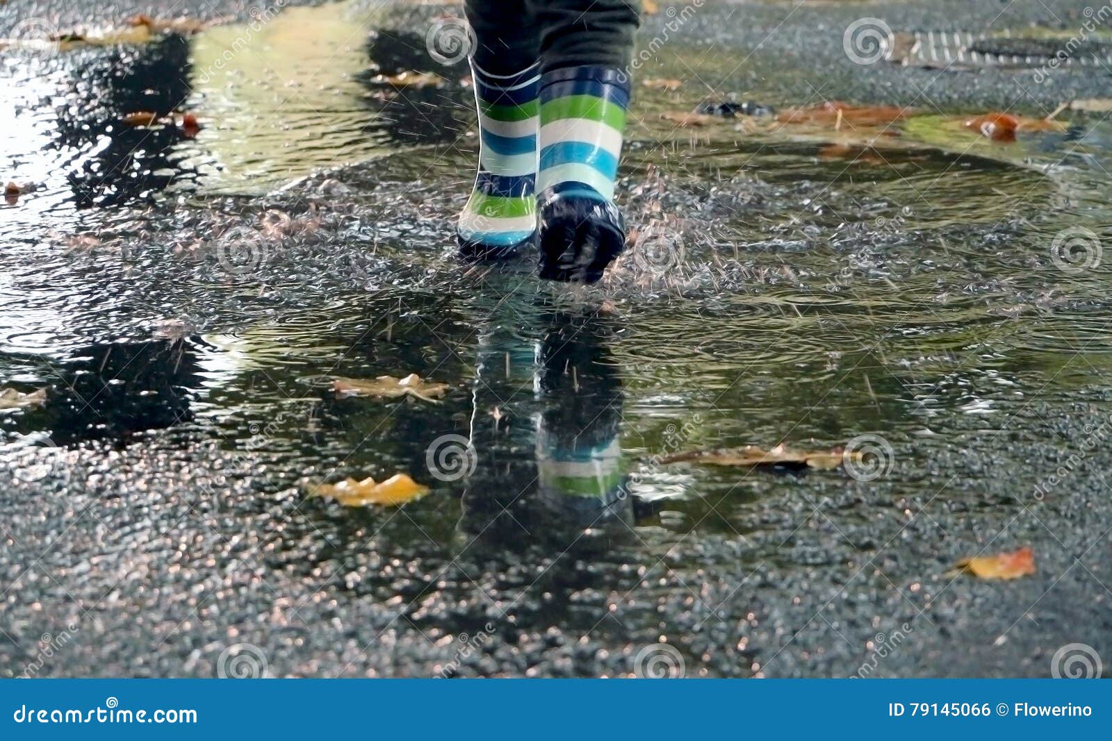Plastic Boots Running through the Puddle in Autumn Stock Photo - Image ...
