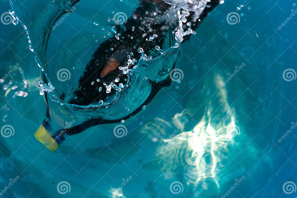 Plastic Bottle Falling into the Water Making Splashes and Spraying ...