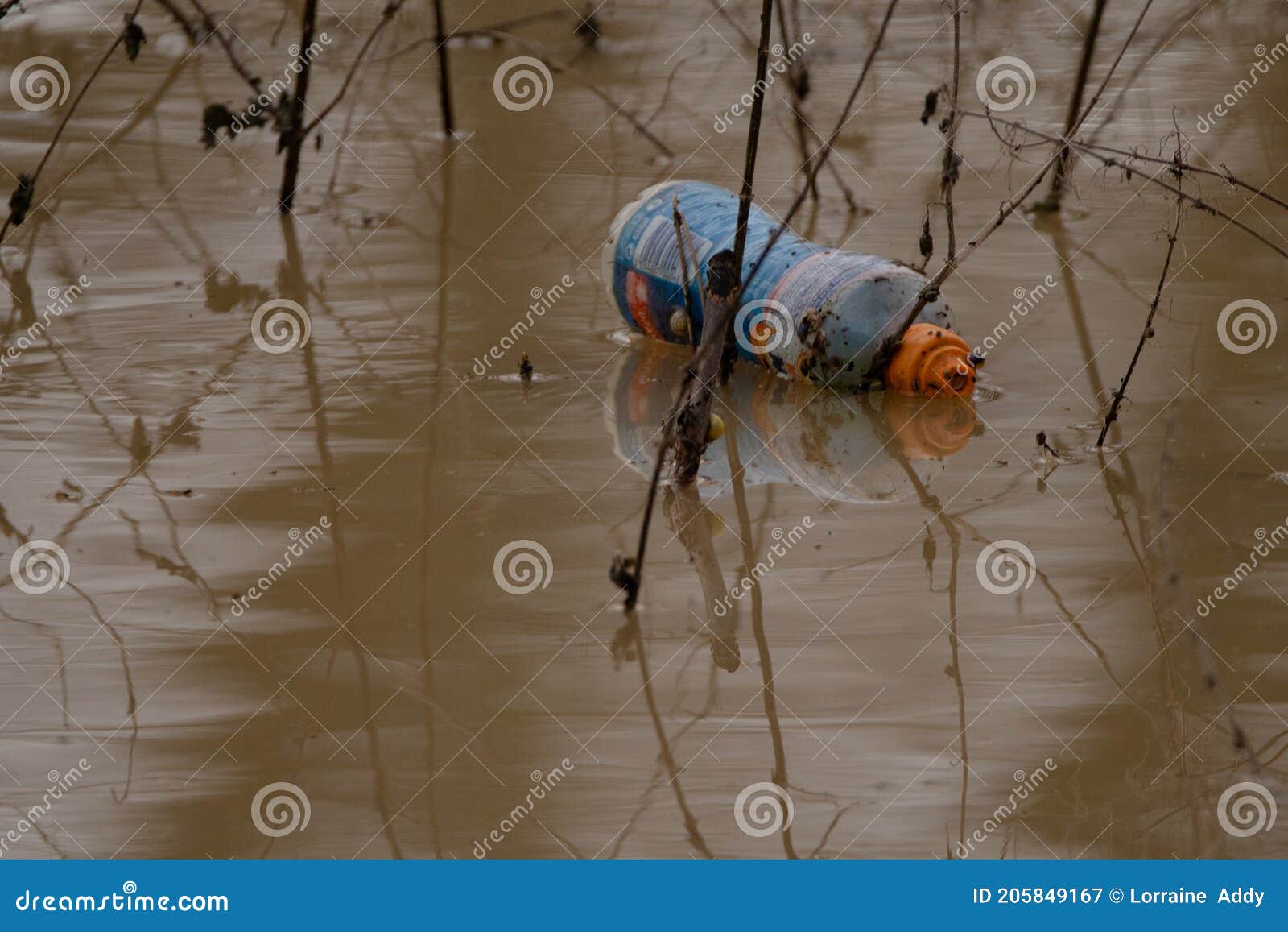 Plastic Bottle Floating in the River Welland Which is Brown with Mud ...