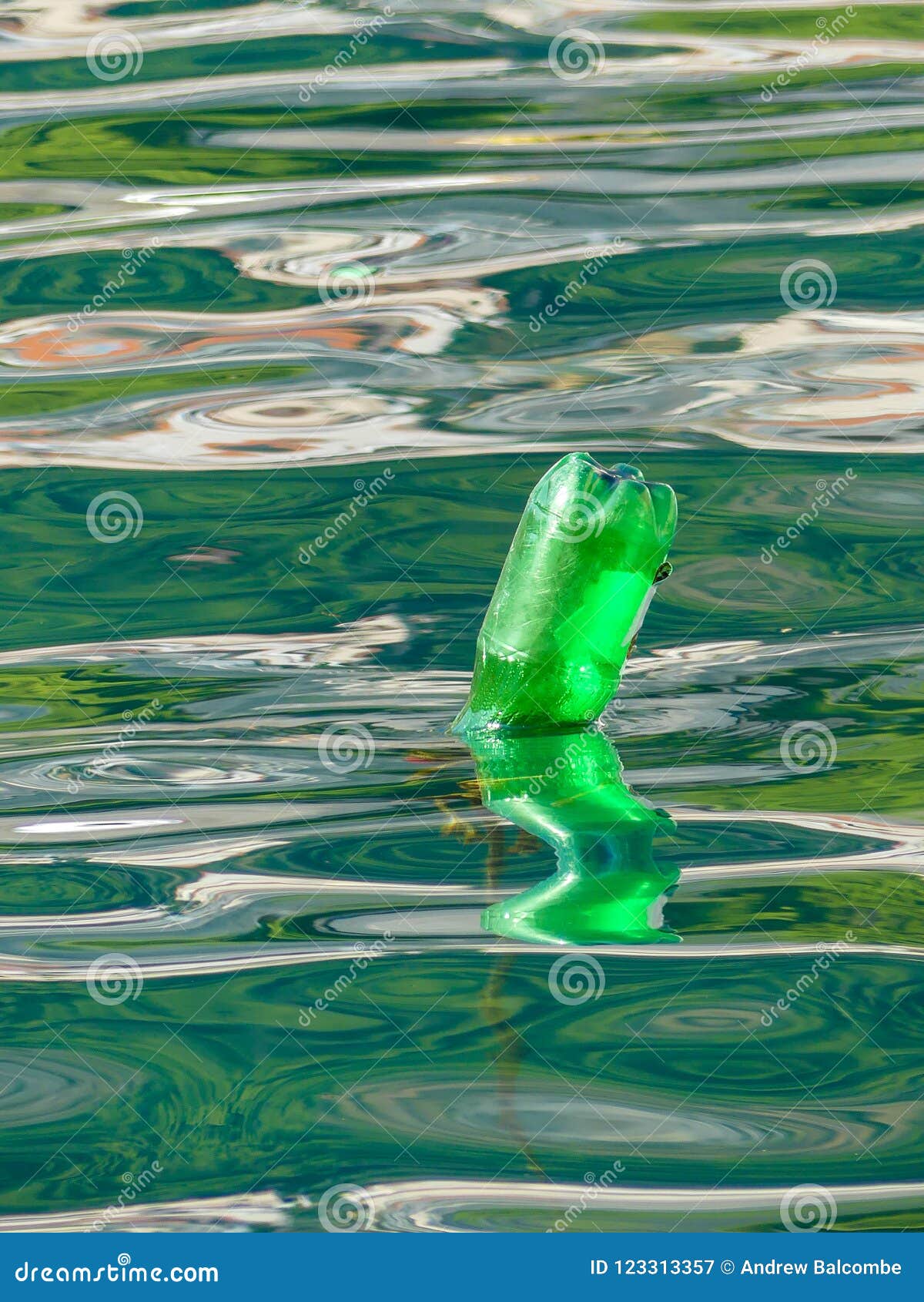 Plastic Bottle Floating in the Water Stock Image - Image of coral ...