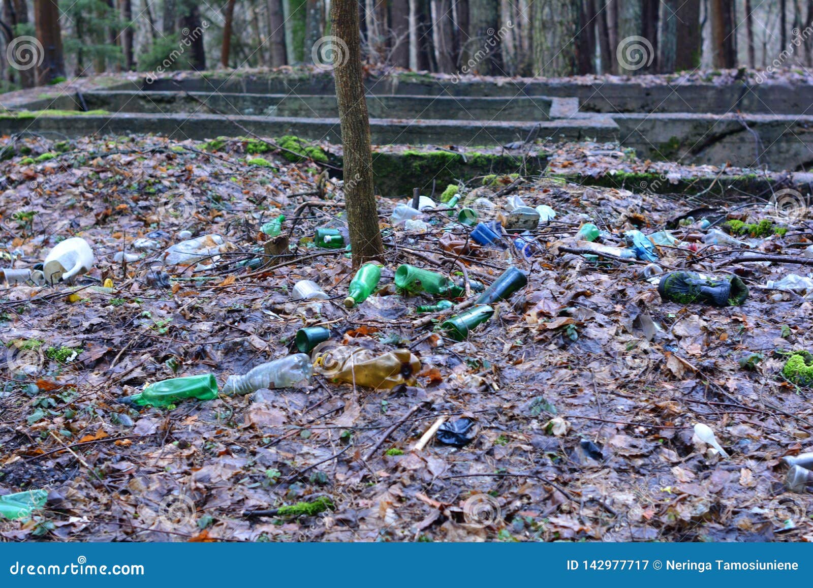 Plastic Bottle Garbage in a Forest. Nature Pollution Stock Image ...