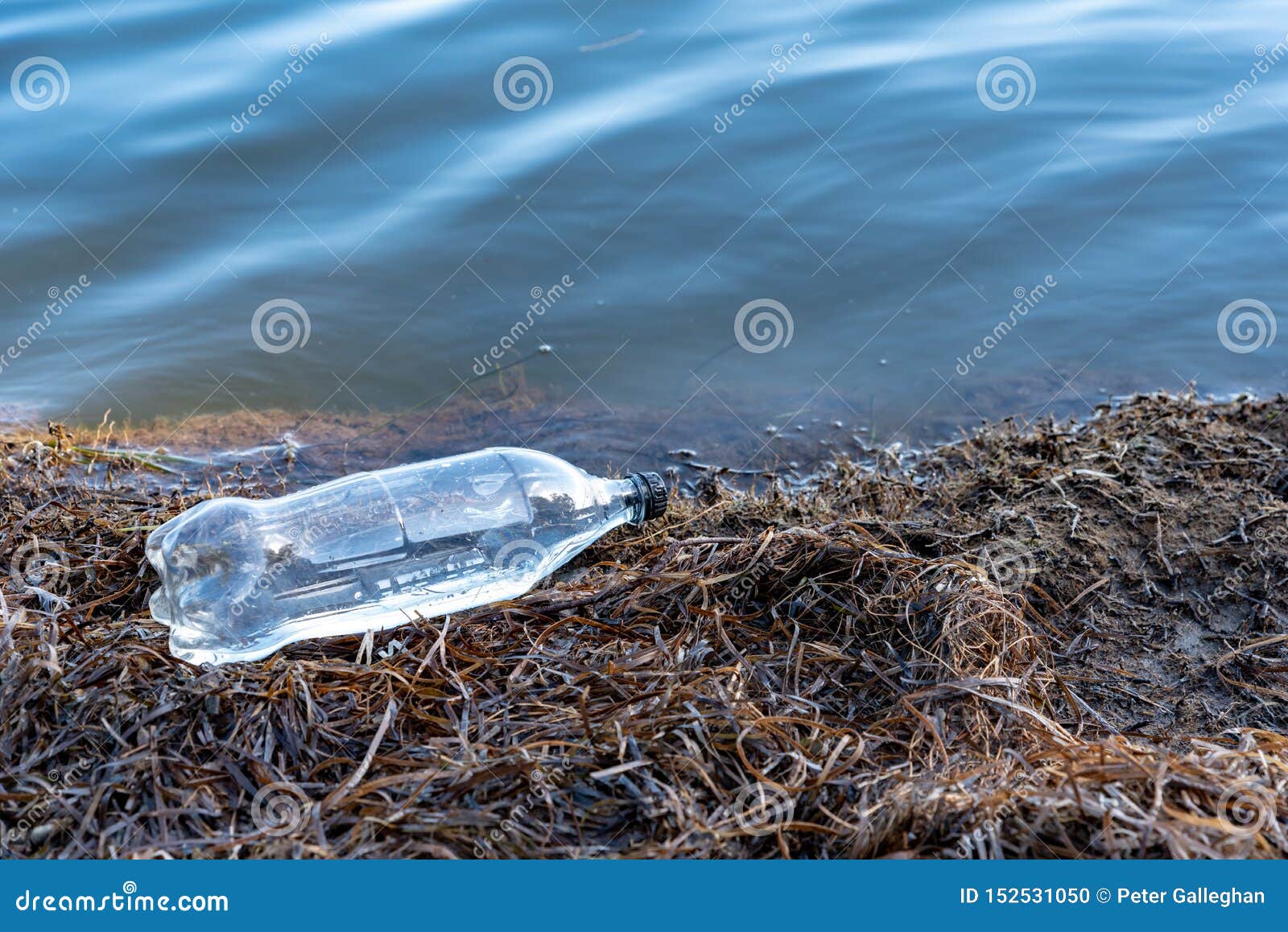 Plastic Bottle on Ground at the Water Edge of a Lake Stock Photo ...