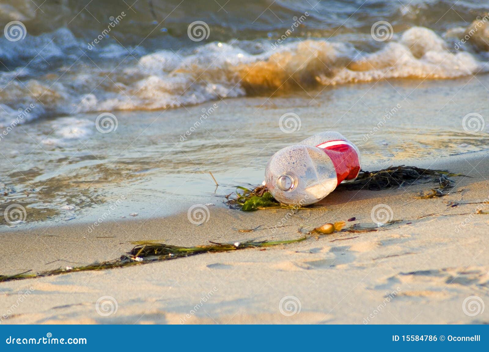 Plastic Bottle Litter on the Beach Stock Photo - Image of ecosystem ...