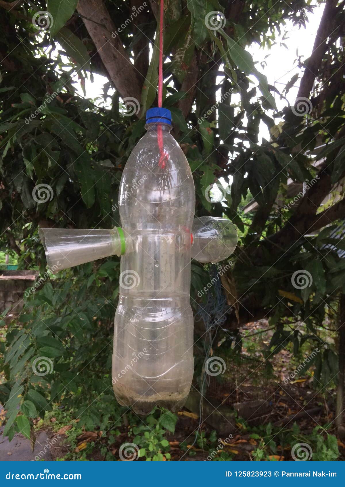 Plastic Bottle Make To Insect Trap. Stock Image - Image of clear ...
