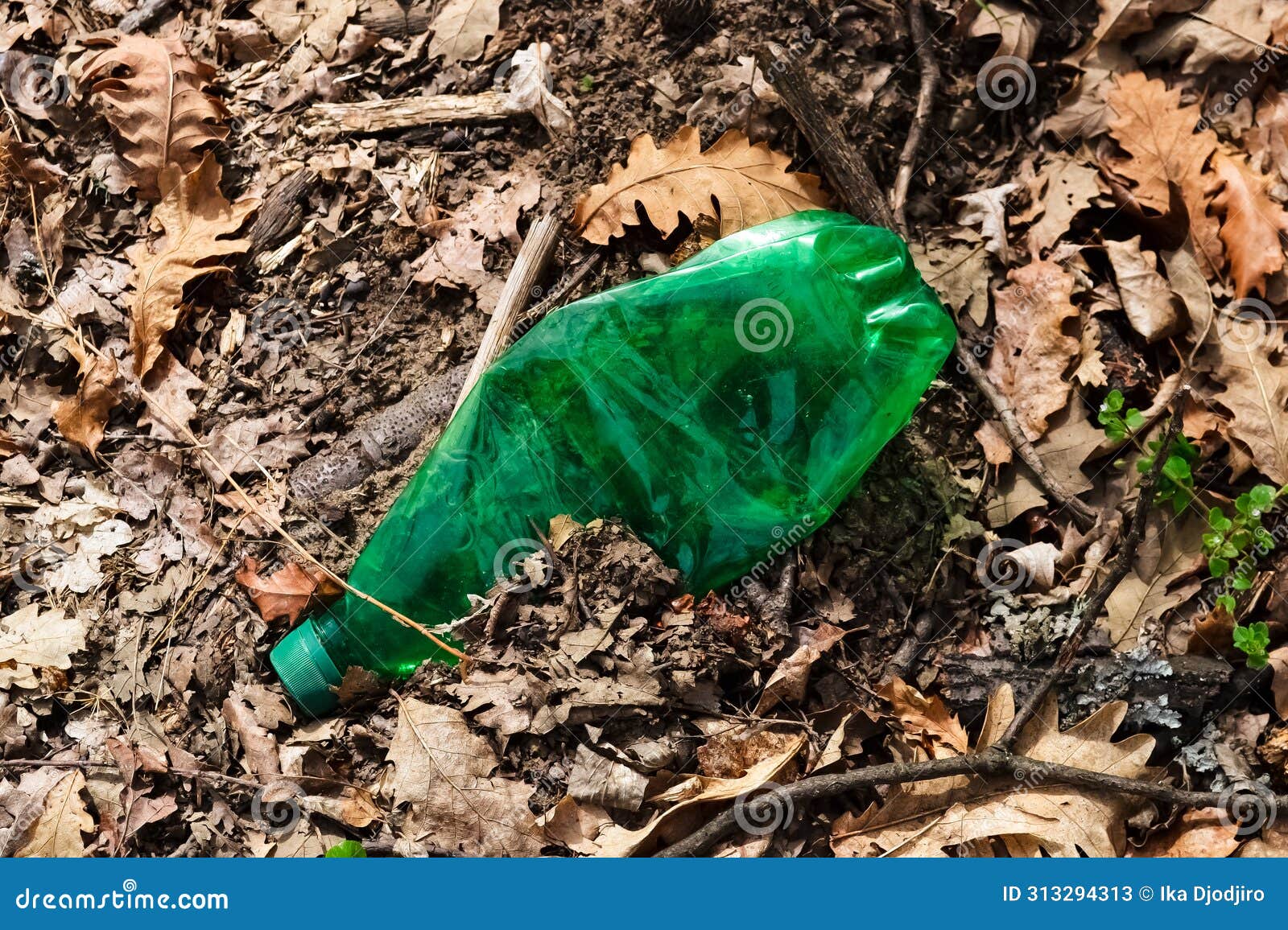 Plastic bottle in nature stock image. Image of background - 313294313