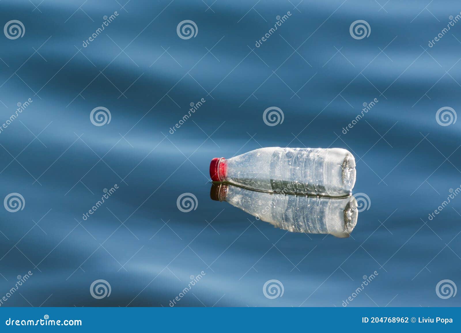 Plastic Bottle Reflected on the Lake Stock Photo - Image of environment ...