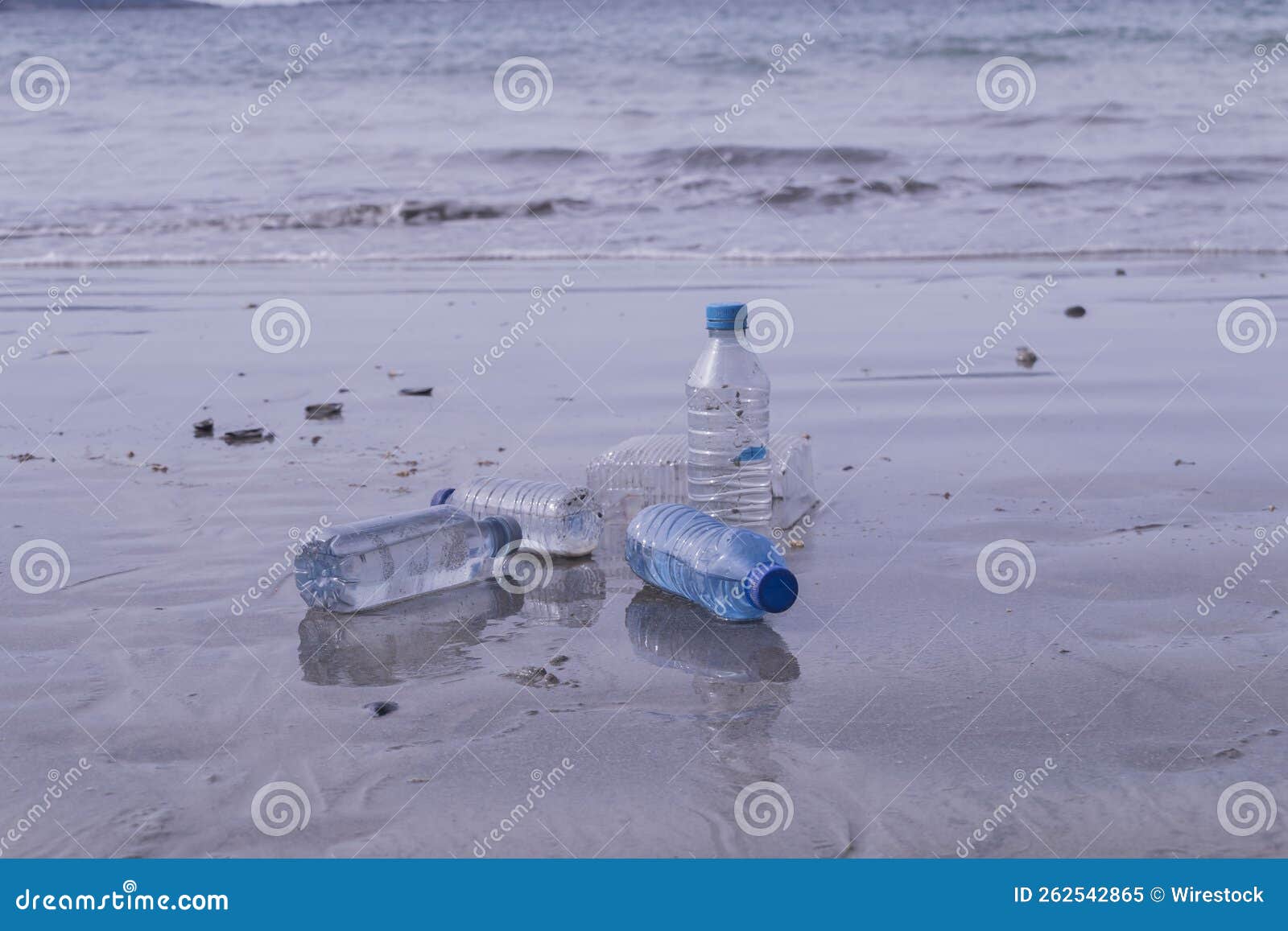 Plastic Bottle Waste on the Beach - Environmental Pollution Concept ...