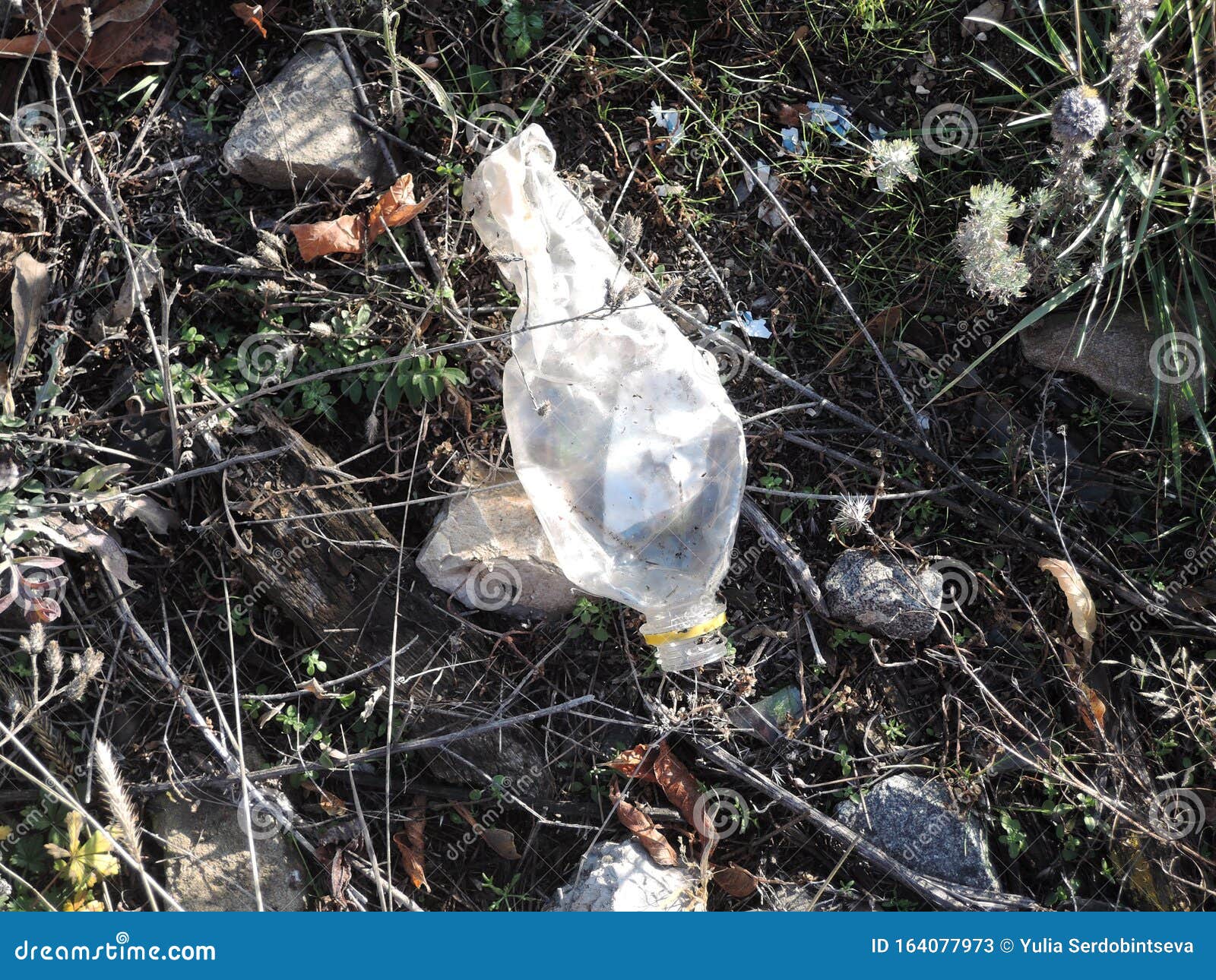 Plastic Bottle Waste in the Nature. Plastic Pollution Concept Stock ...