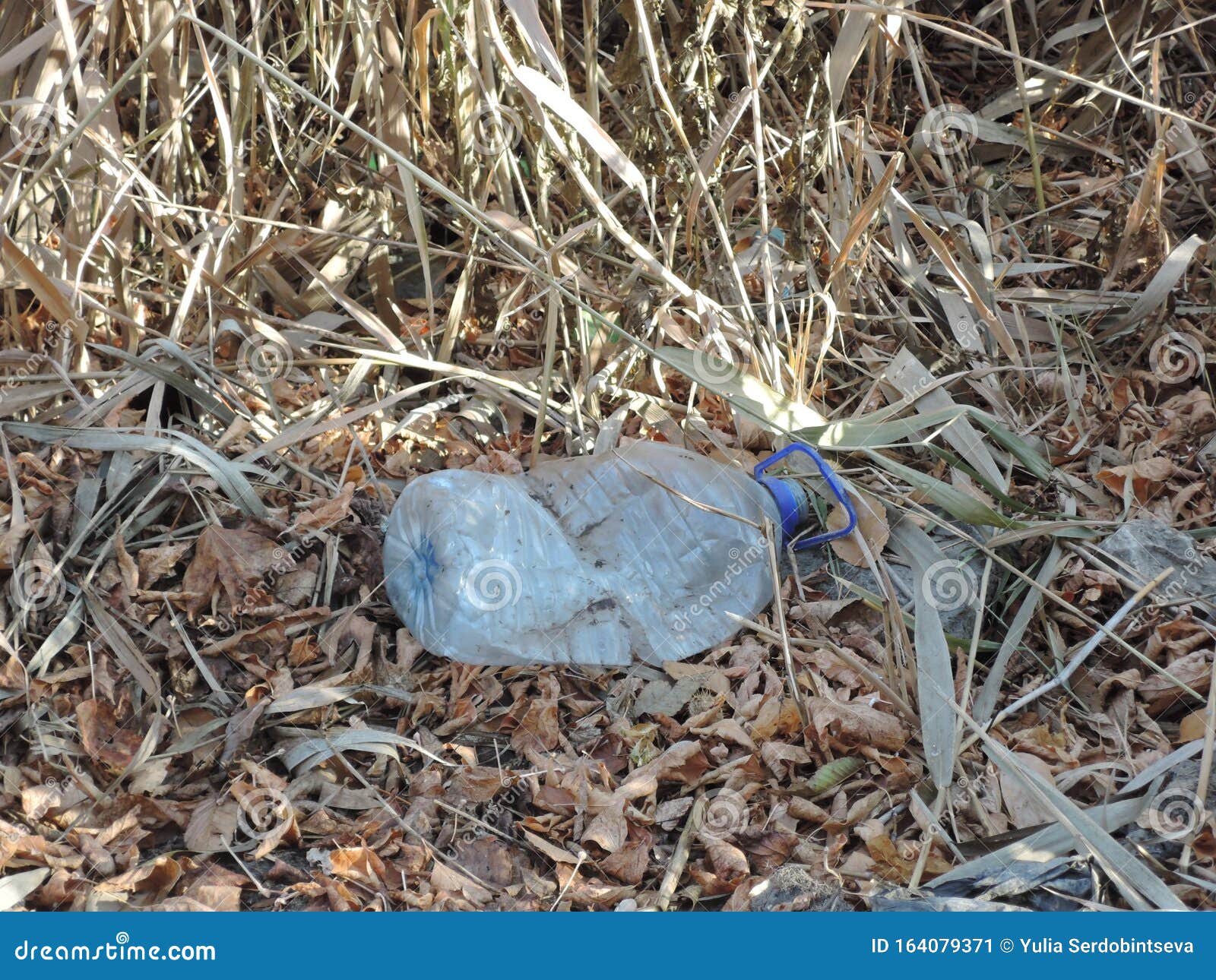 Plastic Bottle Waste in the Nature. Plastic Pollution Concept Stock ...