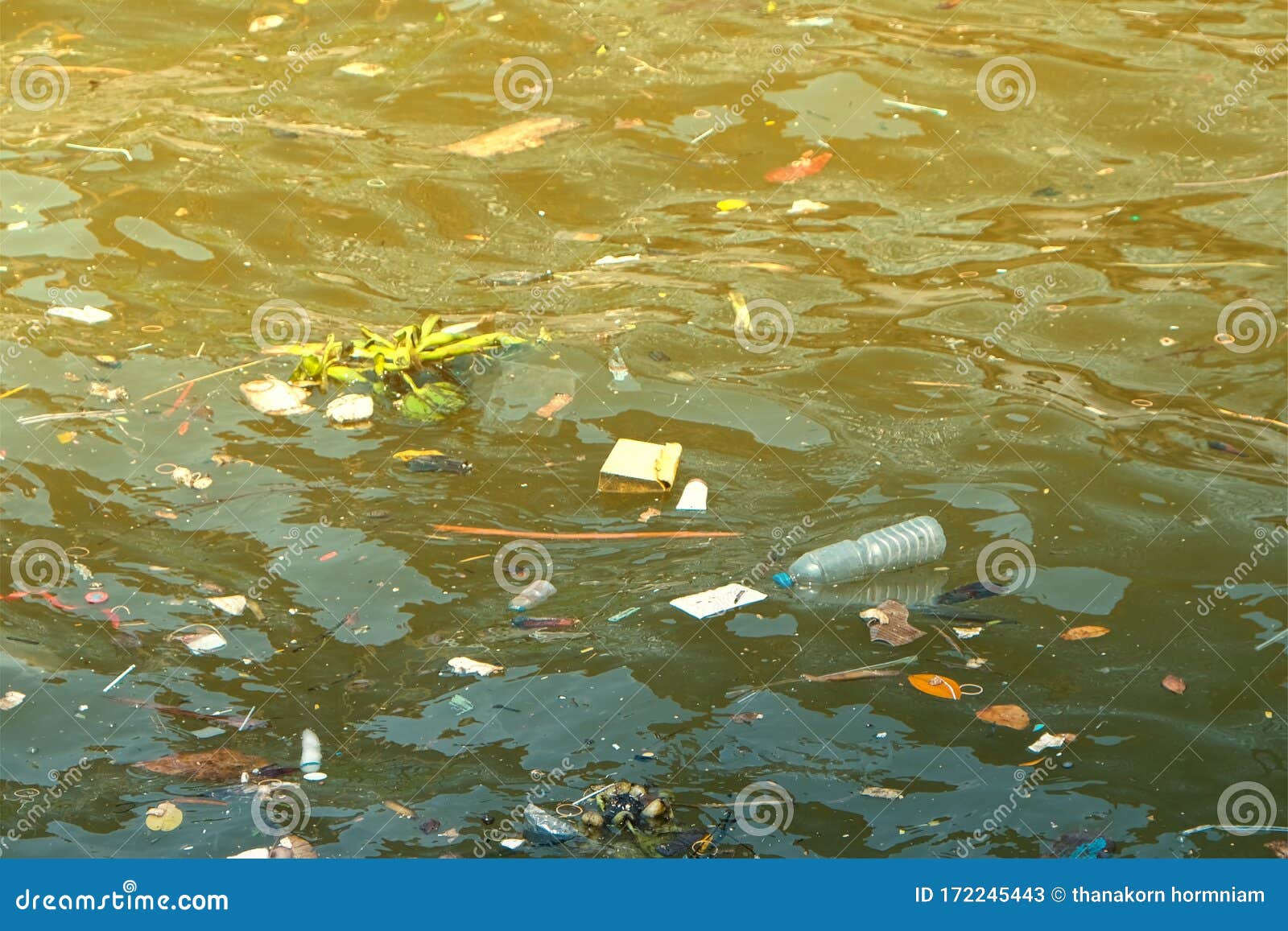 Plastic Bottle Waste in the River Stock Image - Image of litter ...