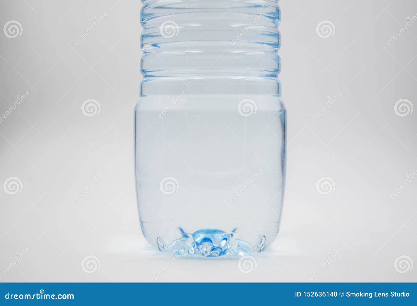 Bottom-up Closeup View To Bismarckia Nobilis Leaves Stock Photo ...