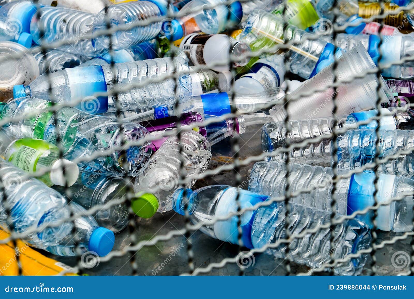 Plastic Bottles and Containers Prepared for Recycling Stock Photo ...