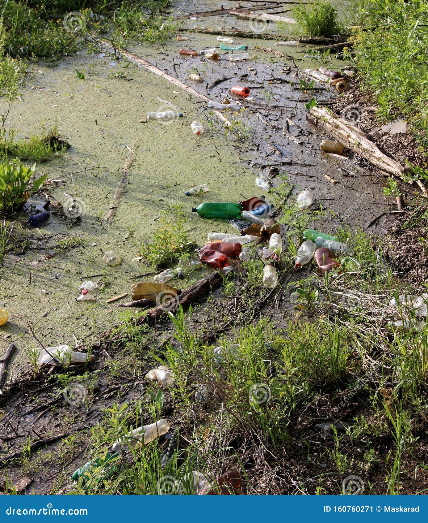 Plastic Bottles and Garbage in the Pond Stock Image - Image of ...