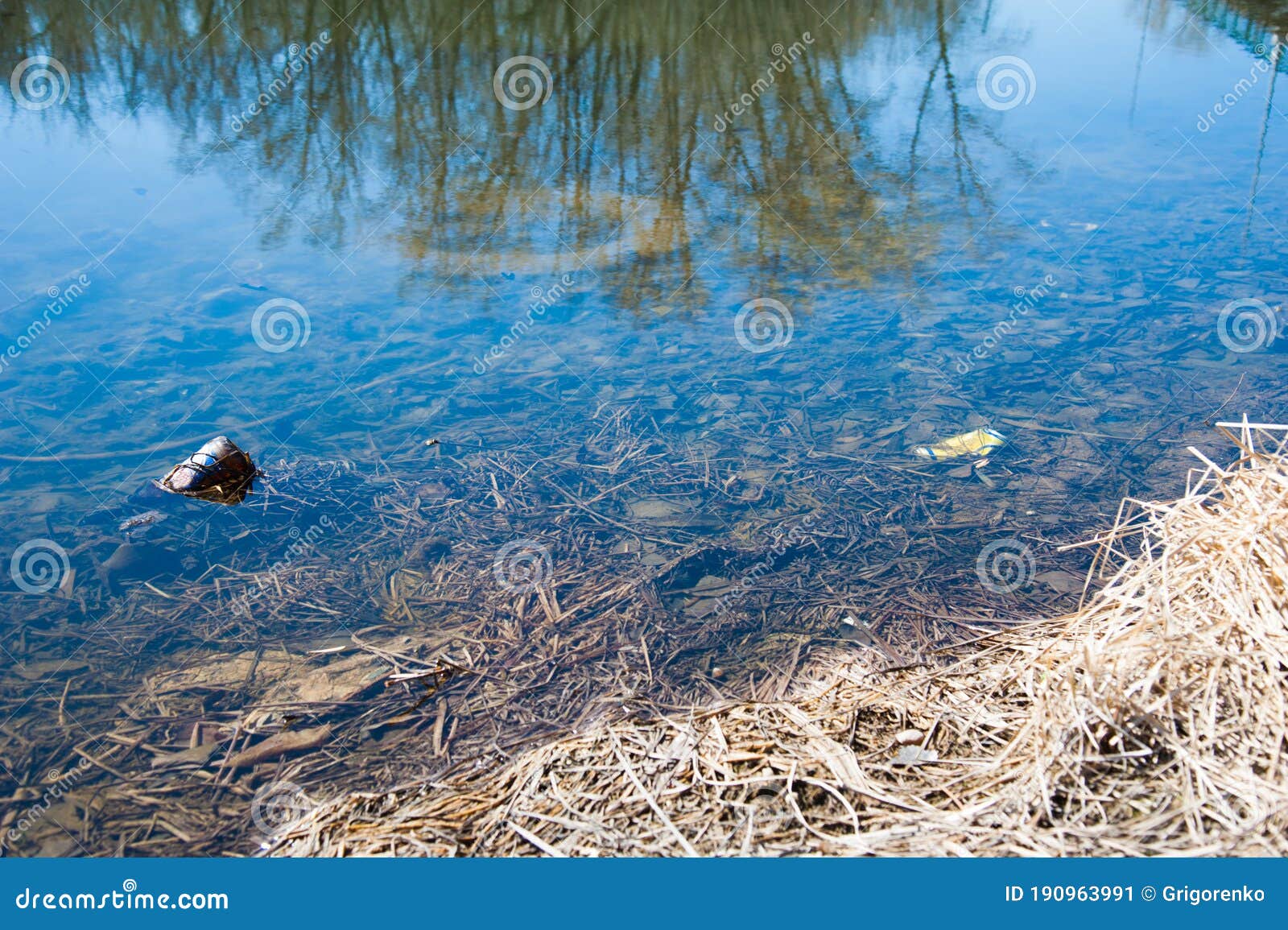 Garbage Waste on the Shore of a River Stock Image - Image of bottle ...