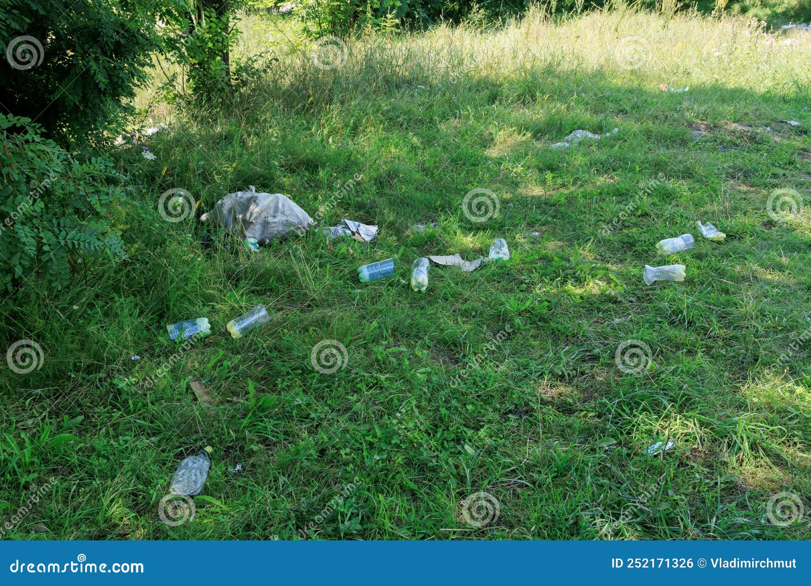 Plastic Bottles on the Grass, Garbage, Pollution Stock Photo - Image of ...