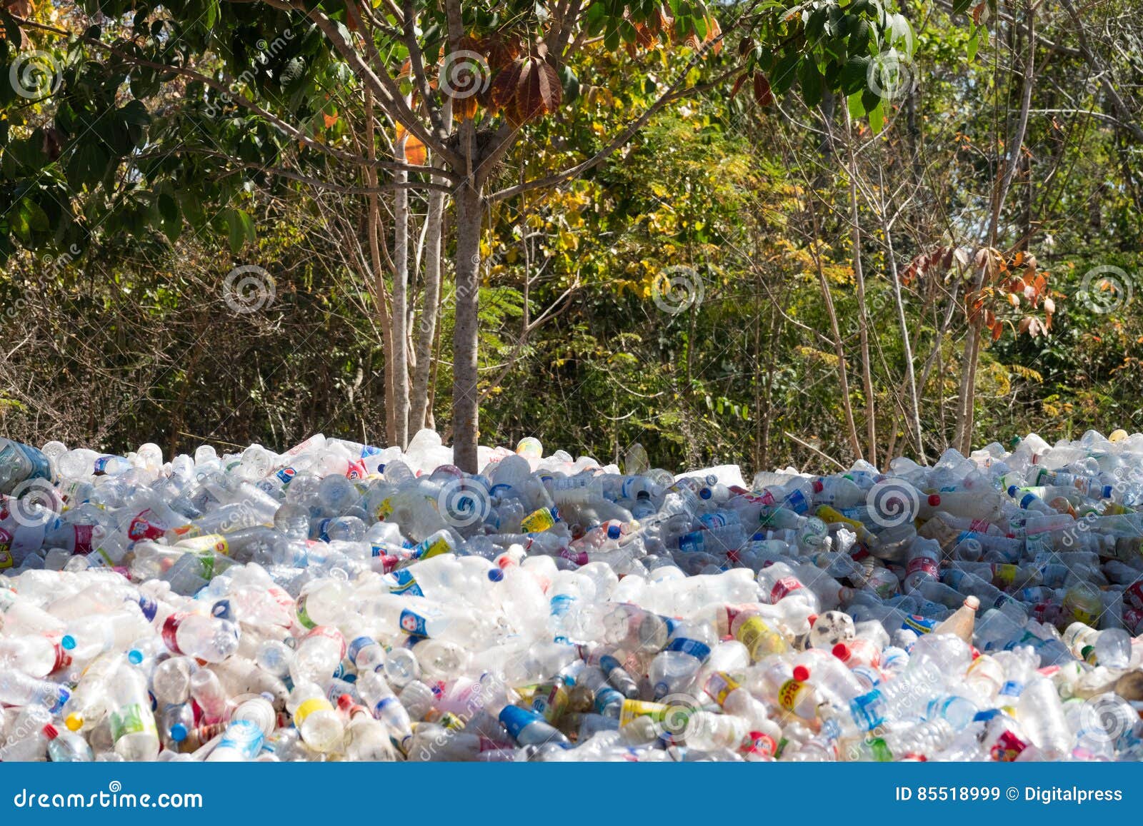 Plastic Bottles in the Nature Editorial Stock Image - Image of industry ...