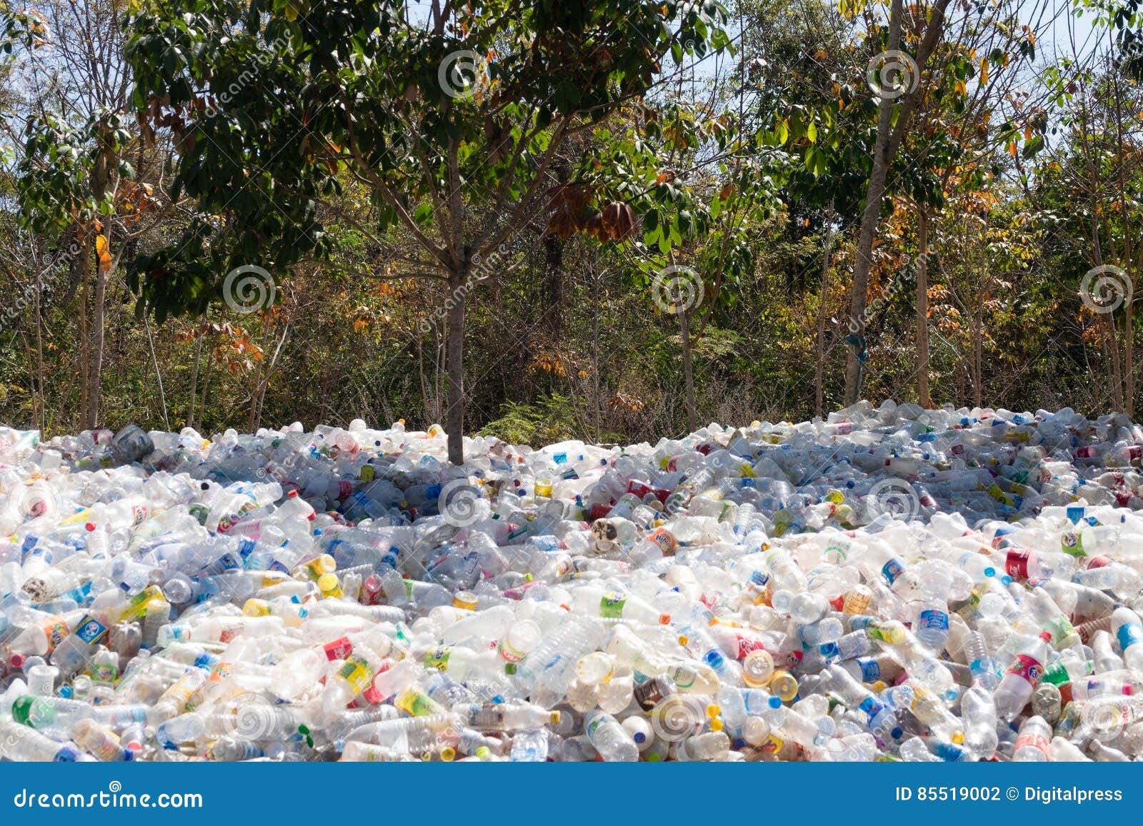 Plastic Bottles in the Nature Editorial Photography - Image of bottle ...