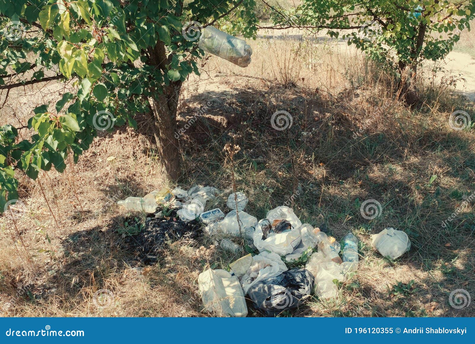 Plastic Bottles and Other Rubbish in the Forest. Environmental Problems ...