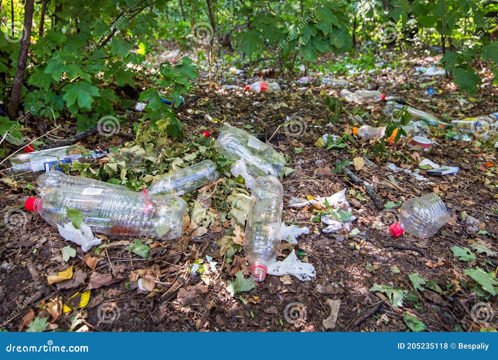 Plastic Bottles and Plastic Garbage in the Forest. Stock Photo - Image ...