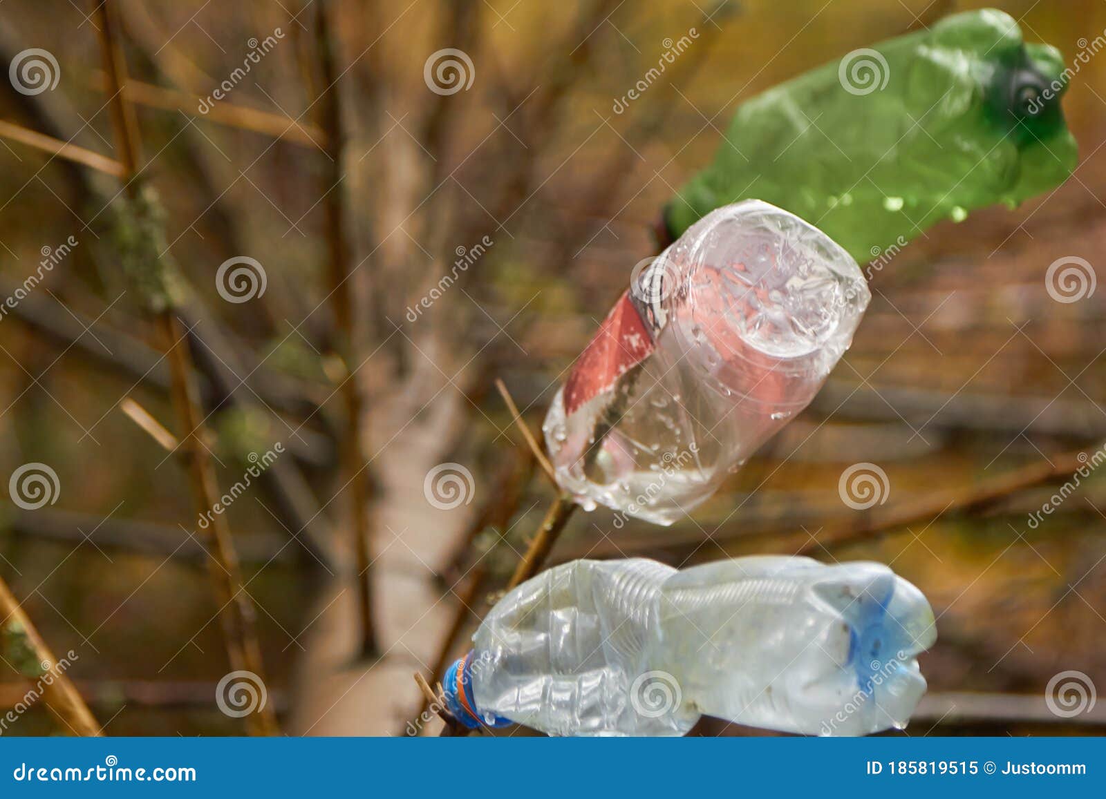 Plastic Bottles on Tree Branches in the Forest Stock Image - Image of ...