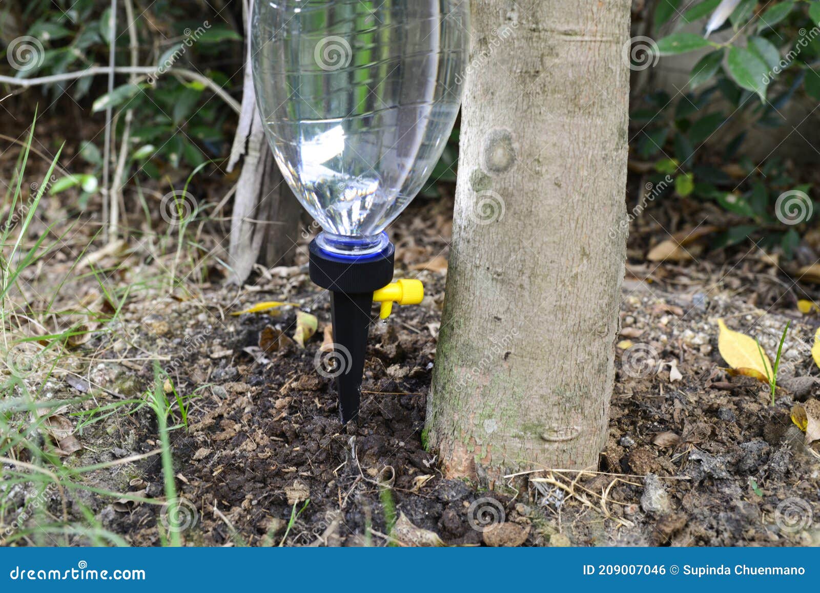 Plastic Bottles for Watering Tree in the Garden Stock Photo - Image of ...