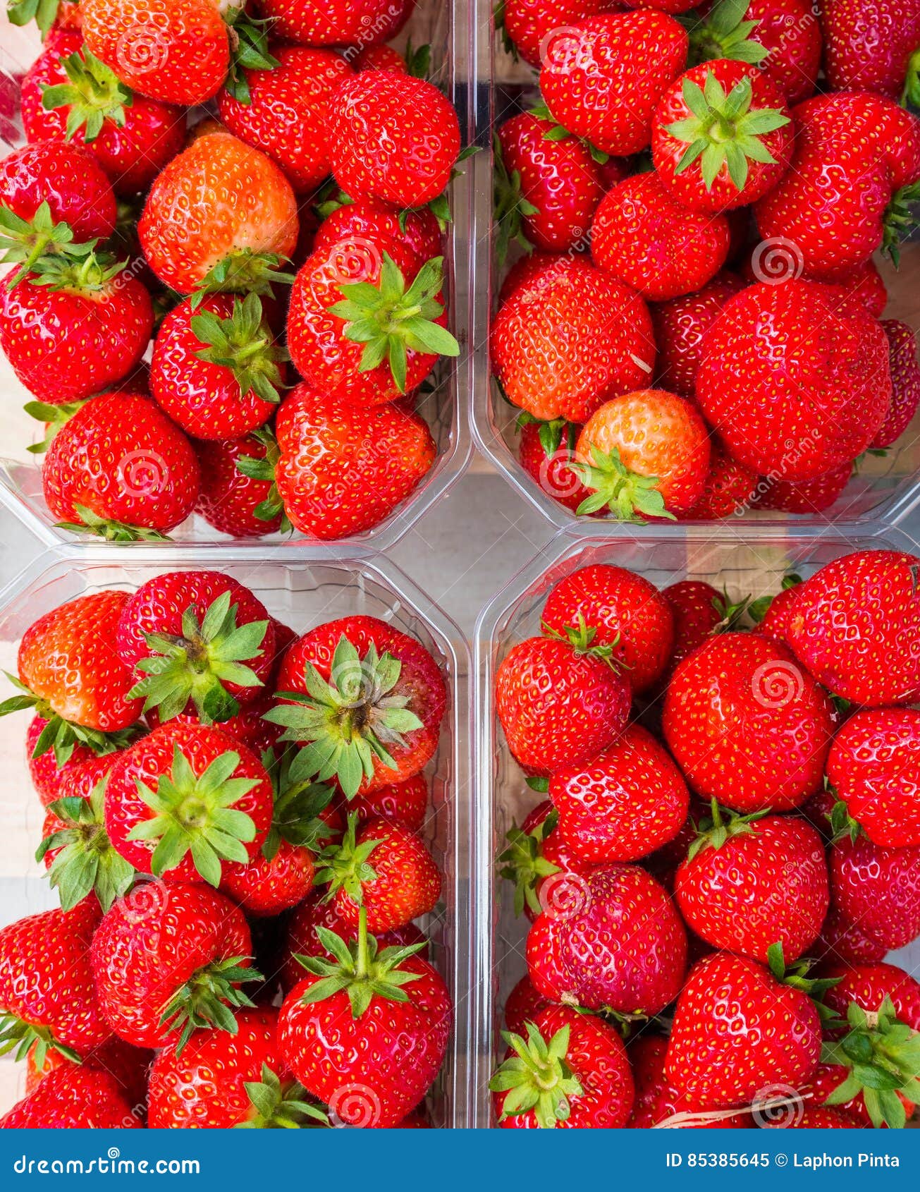 Plastic Box Package of Red Fresh Strawberries Stock Image - Image of ...