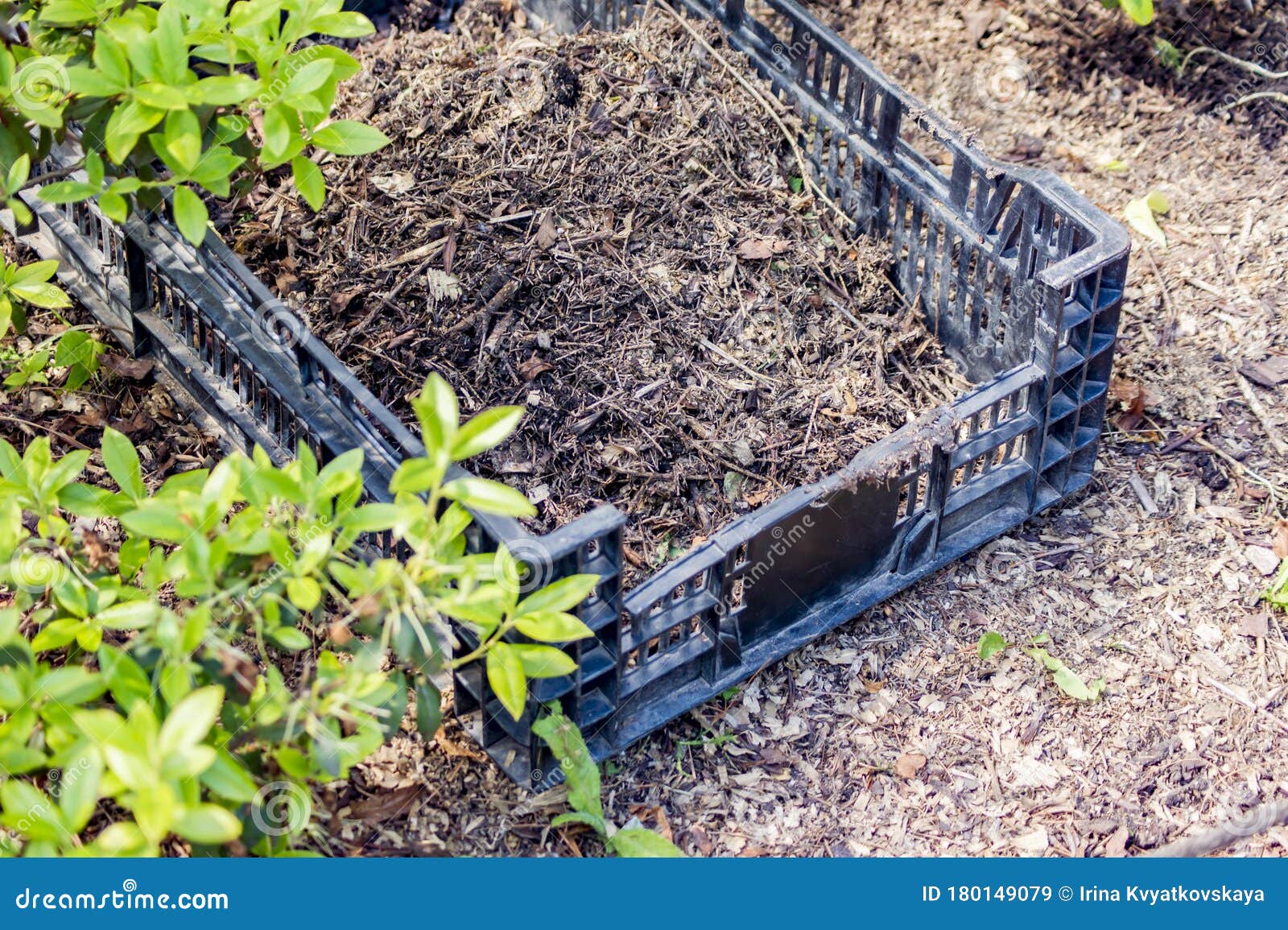 Plastic Box with Soil on the Ground in the Garden Stock Image - Image ...