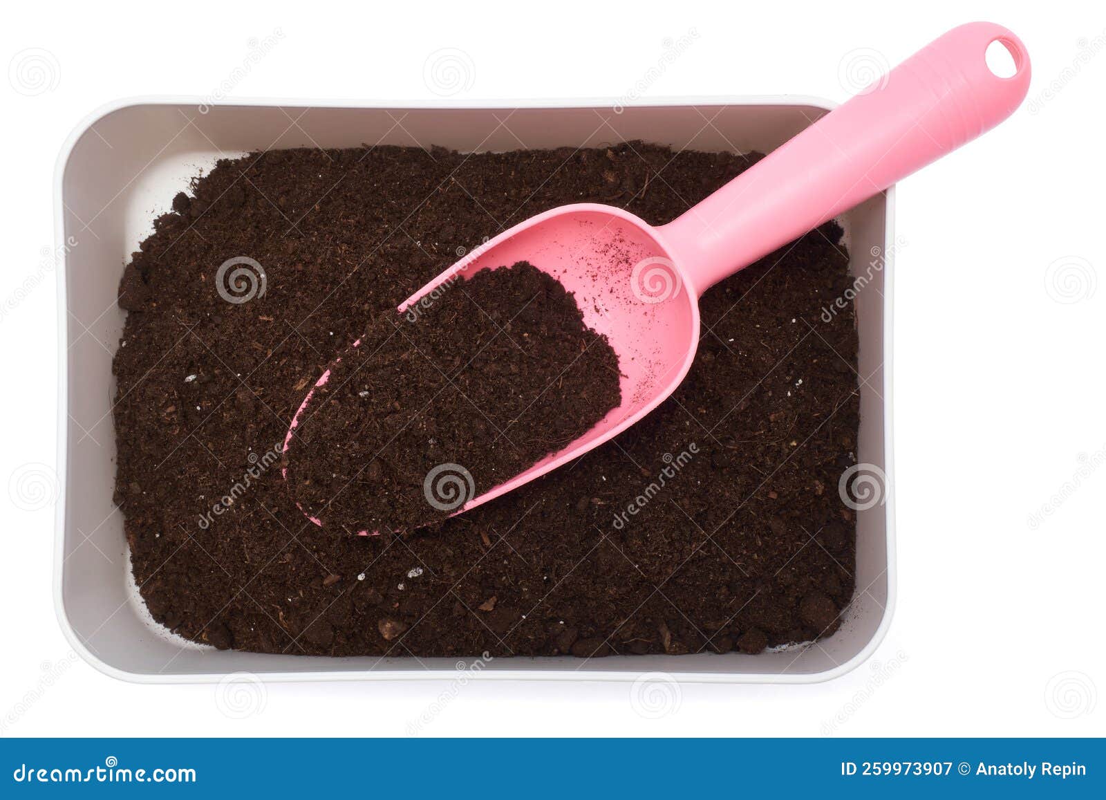 Plastic Box with Substrate Soil for Transplanting Houseplants Isolated ...