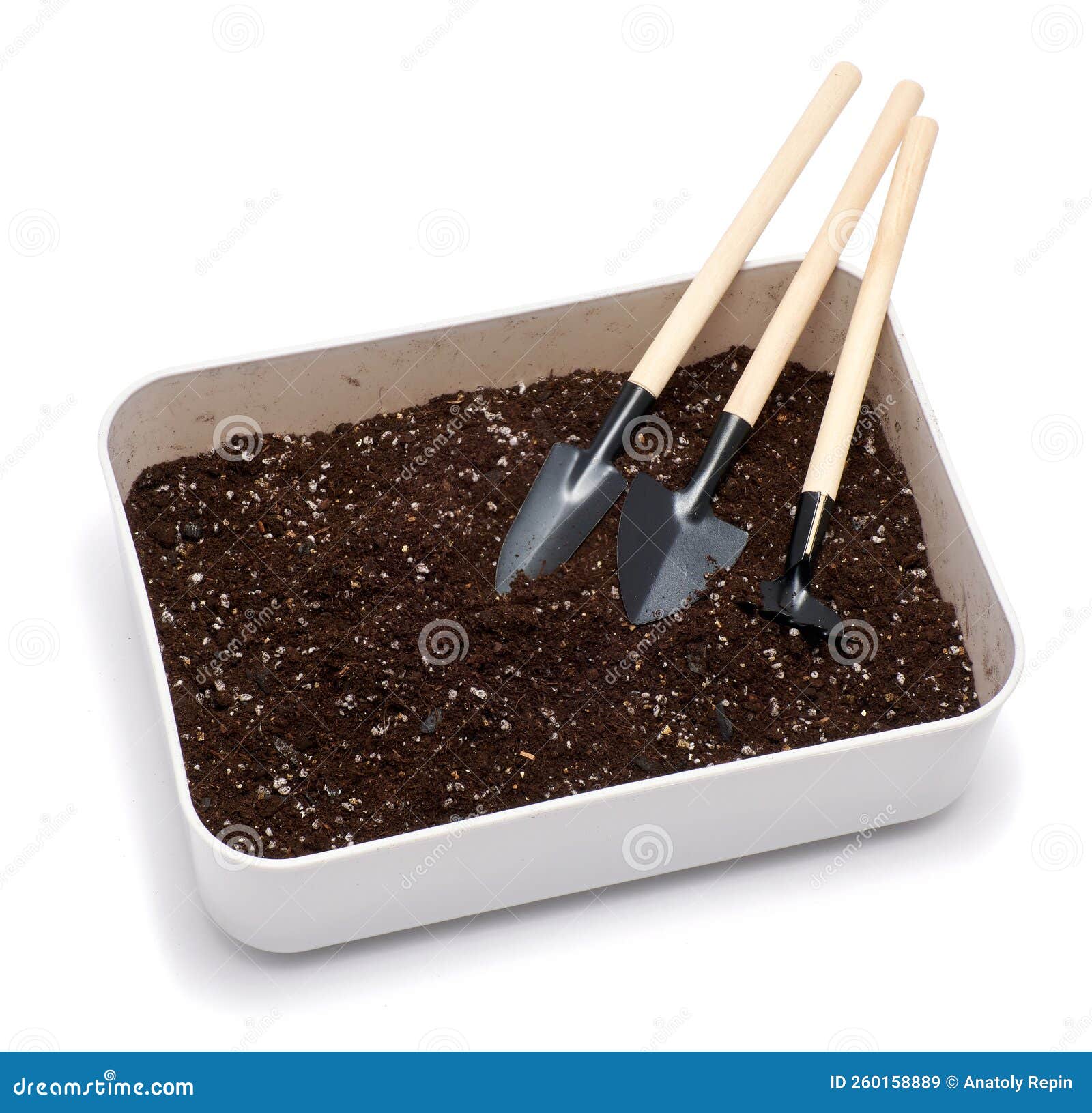 Plastic Box with Substrate Soil for Transplanting Houseplants Isolated ...