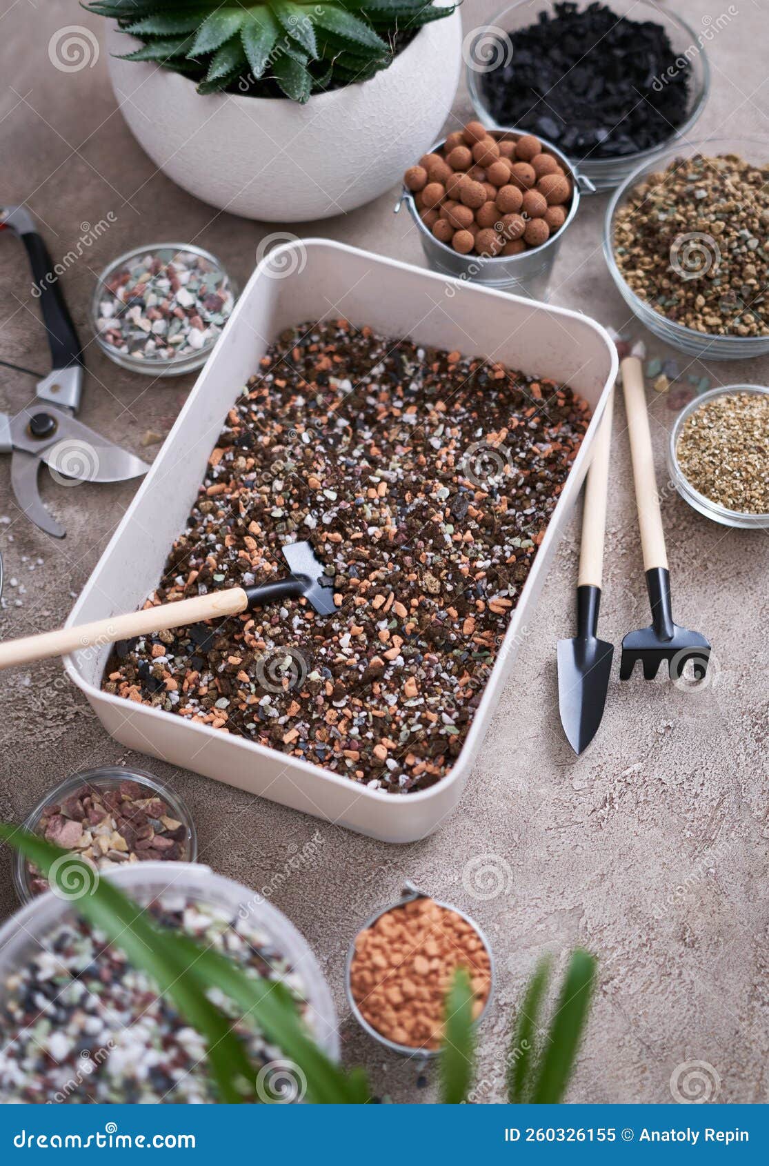 Plastic Box for Soil Substrate Preparation for Transplanting ...