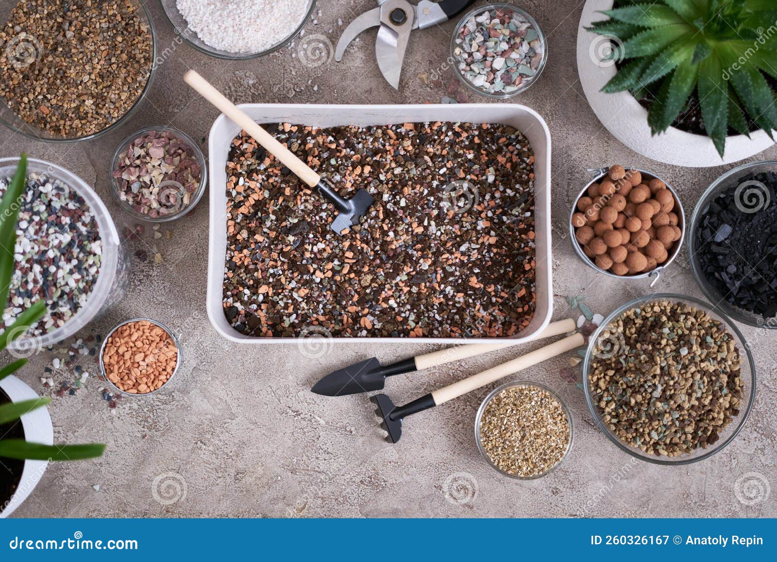 Plastic Box for Soil Substrate Preparation for Transplanting ...