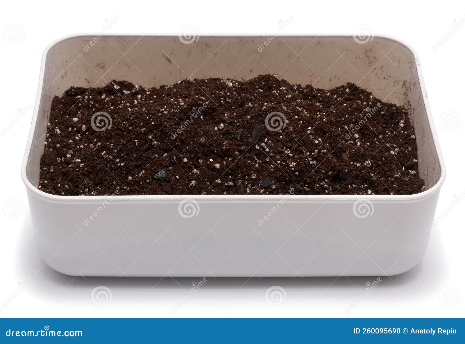 Plastic Box with Substrate Soil for Transplanting Houseplants Isolated ...