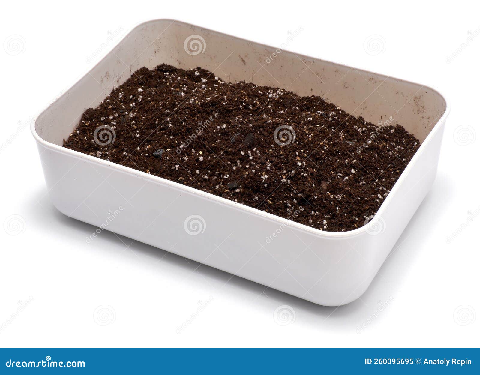 Plastic Box with Substrate Soil for Transplanting Houseplants Isolated ...