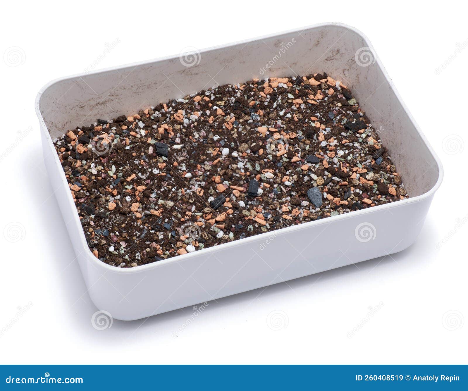 Plastic Box with Substrate Soil for Transplanting Houseplants Isolated ...