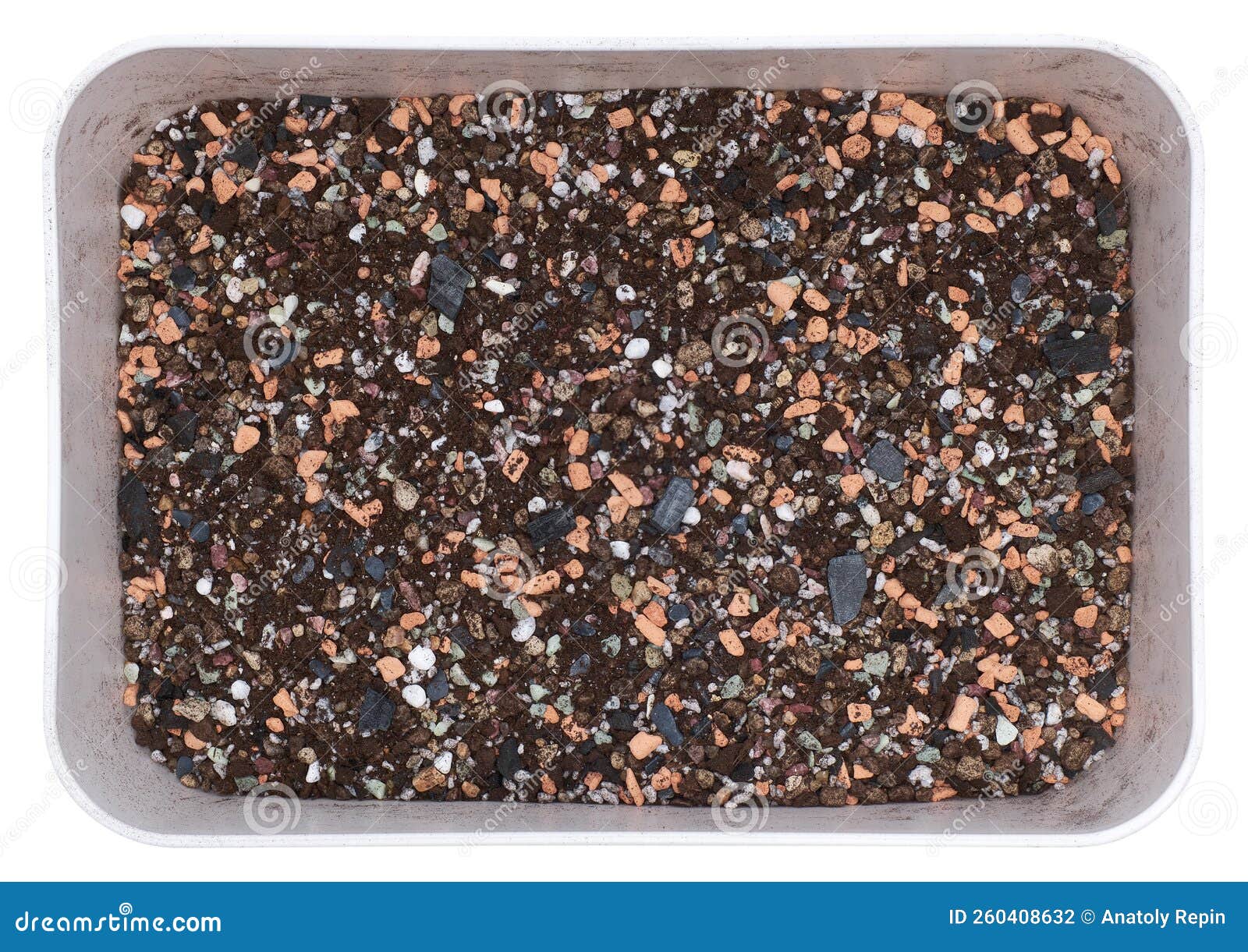 Plastic Box with Substrate Soil for Transplanting Houseplants Isolated ...